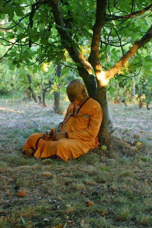 ÍRÁNSKÝ PRINC – MÁG RODAMIR - Matrix-2001 / Gaia